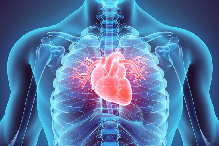 Chirurgie thoracique à Nîmes - Chirurgien cardio-vasculaire Nîmes